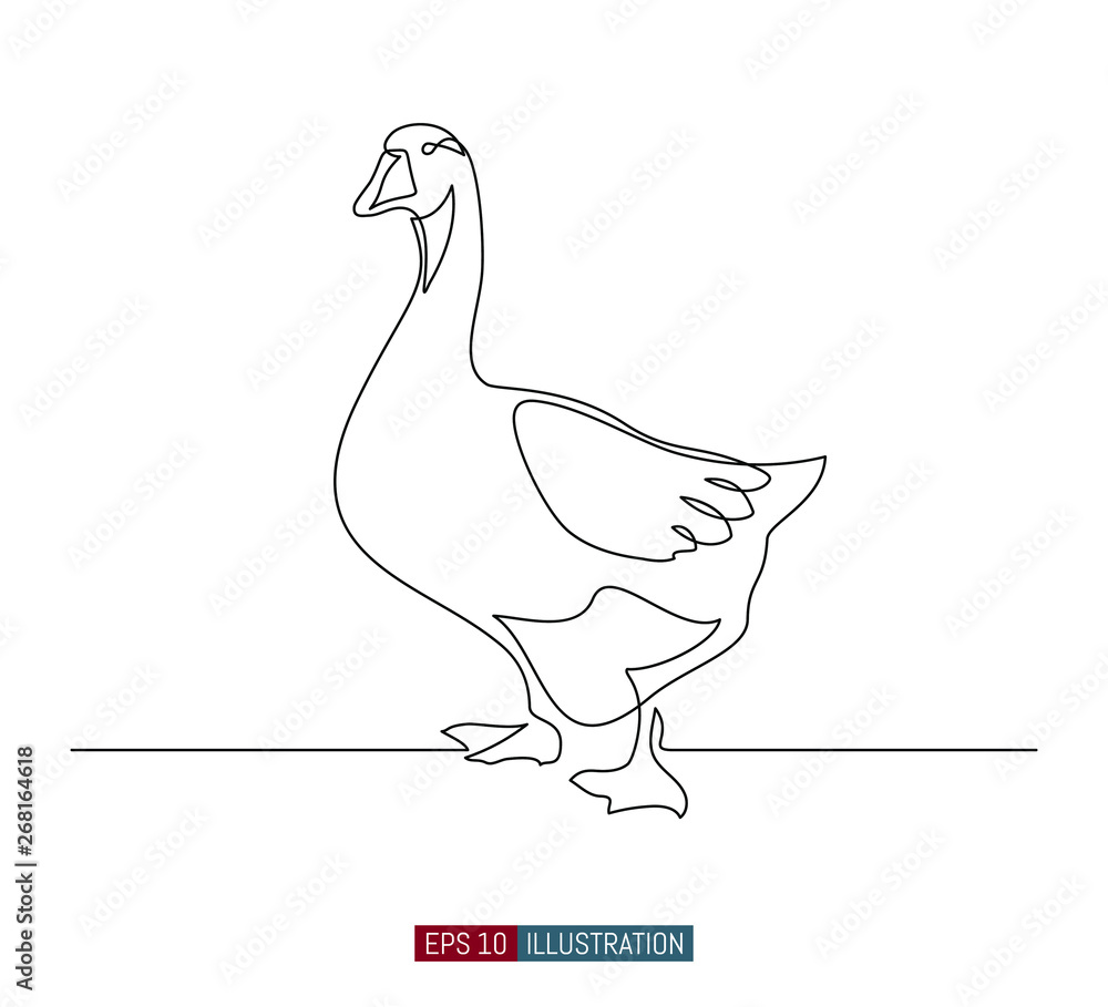 Continuous line drawing of goose. Template for your design works ...