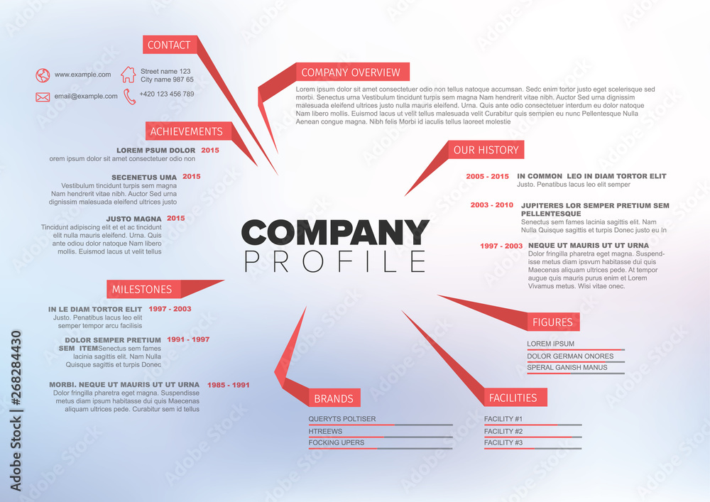 Vector Company infographic overview design template Stock Vector ...