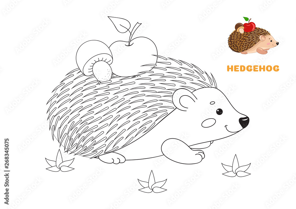 Hedgehog. Coloring book page for preschool children with colorful ...