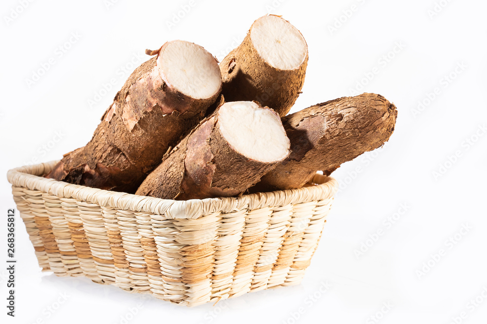 Manihot esculenta (cassava, yuca, manioc, mandioca, Brazilian arrowroot ...
