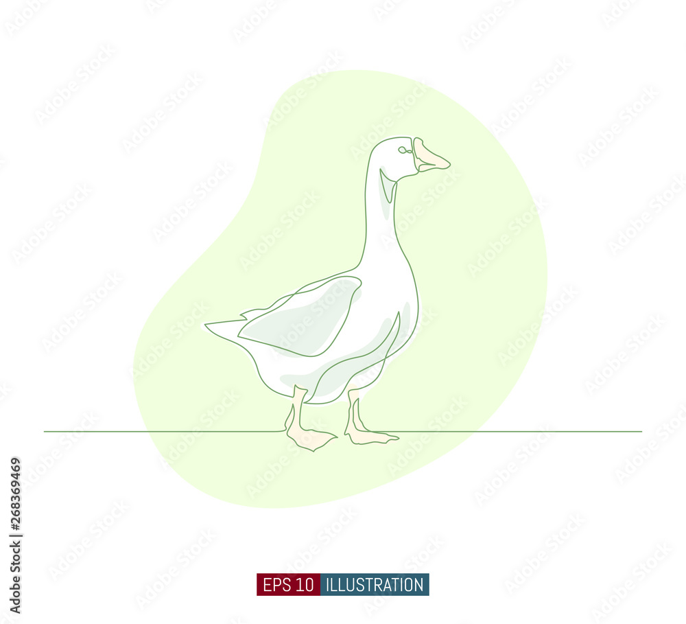 Continuous line drawing of goose. Template for your design works ...