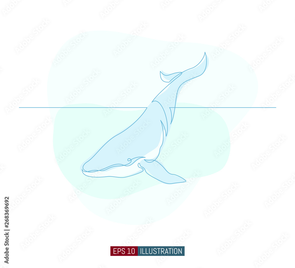 Continuous line drawing of whale. Template for your design works ...