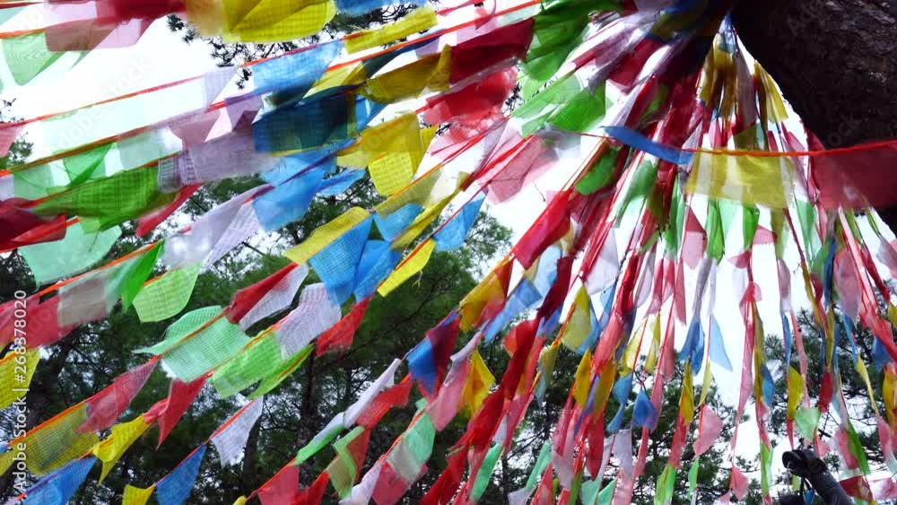 Buddhist offering flags, Jade Dragon Snow Mountain, Yulong Naxi ...