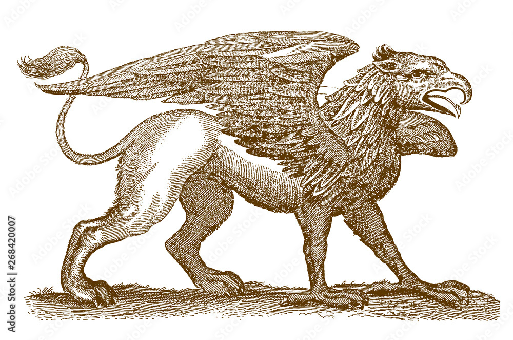 Legendary mythical hybrid creature griffin gryphon, spreading wings ...