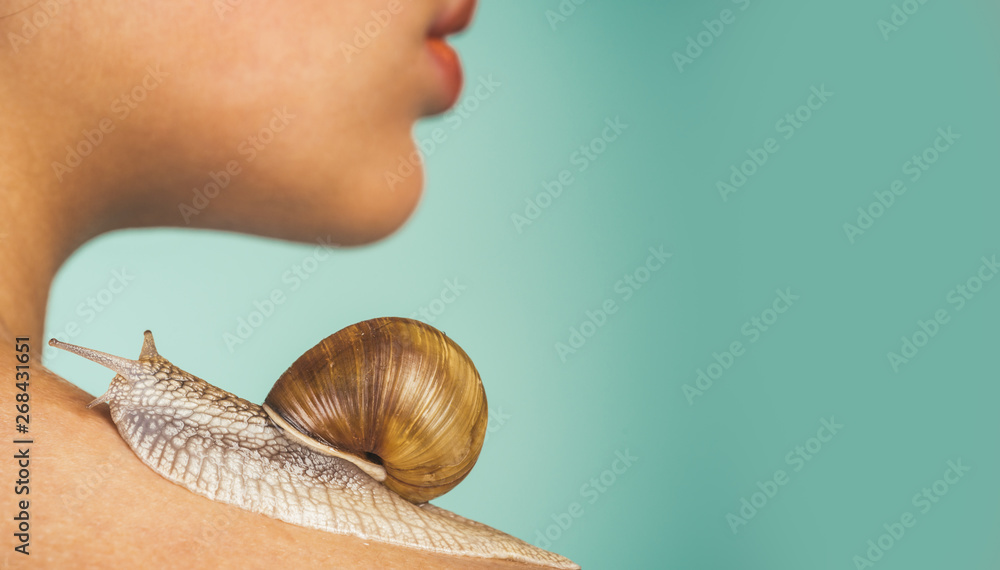 Skin care. Massage with snail. Skincare repairing. Healing mucus ...