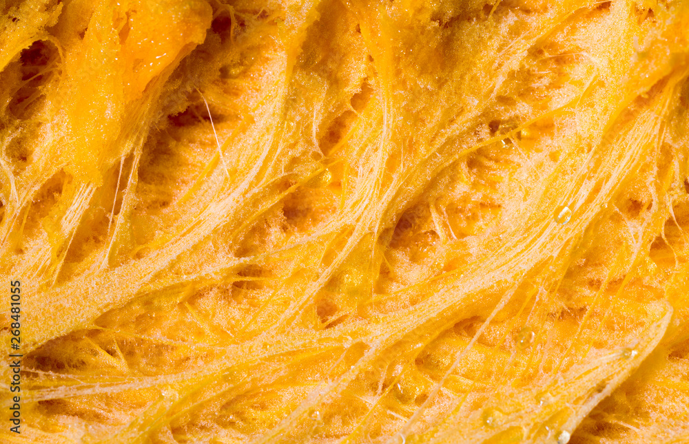 cut pumpkin texture Stock Photo | Adobe Stock