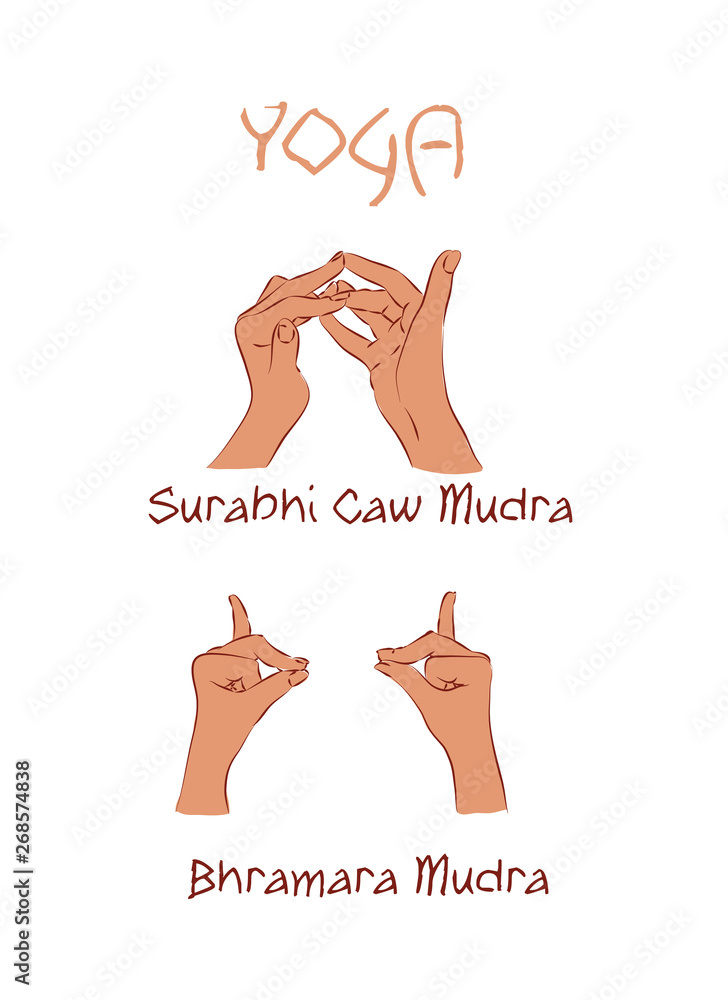 vector mudras hands color isolated line fingers Stock Vector | Adobe Stock