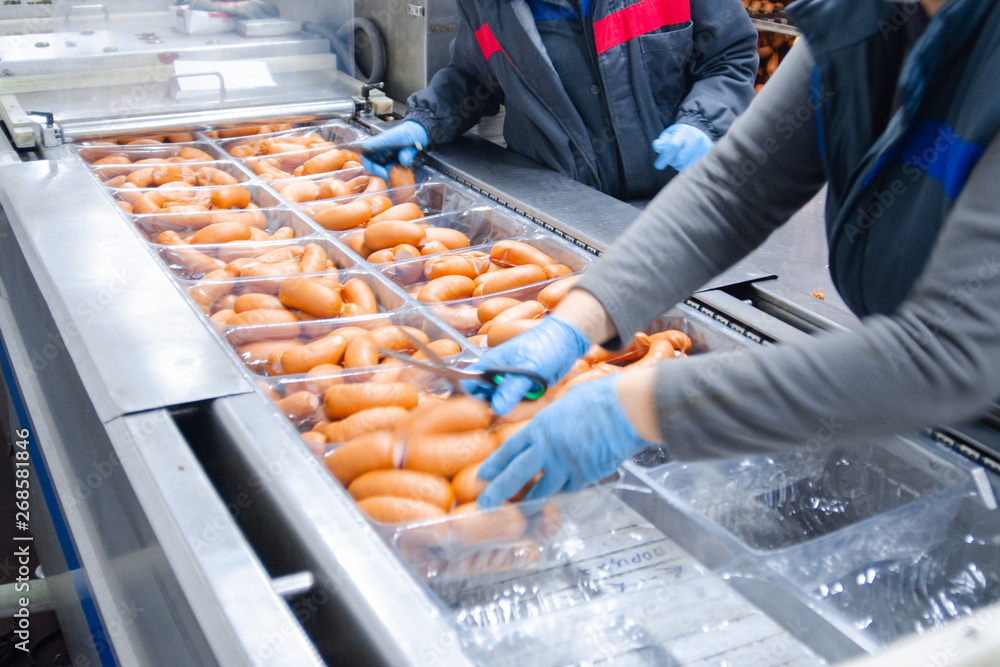 Sausages. Packing line of sausage. Industrial manufacture of sausage ...