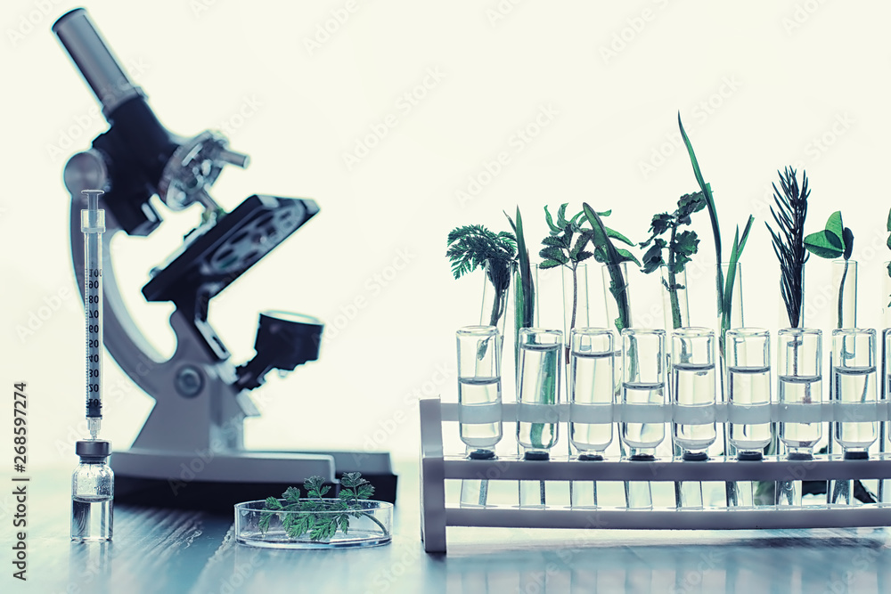 Microscope and test partings on the table in the laboratory. Stock ...