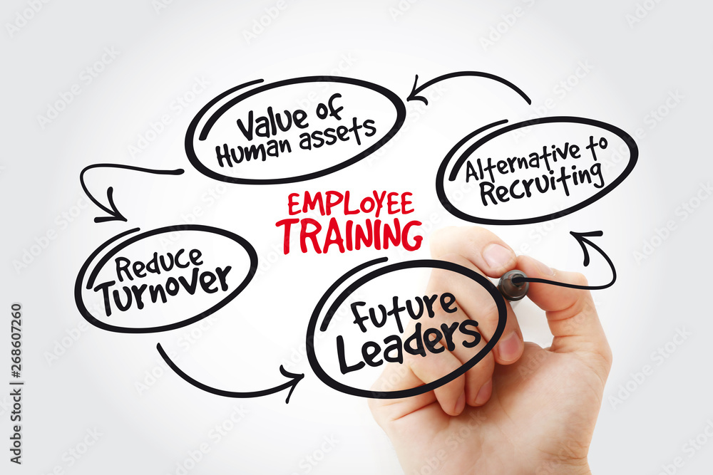 Hand writing Employee training with marker, business concept strategy ...