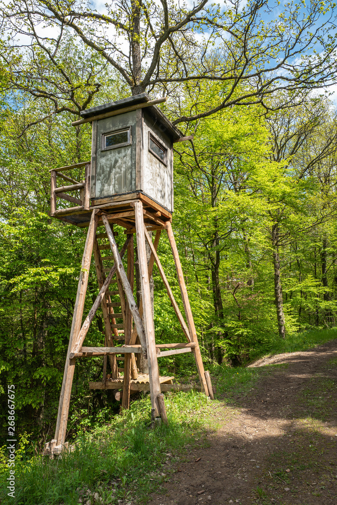 Hochsitz mitten im Wald Sauerland Stock Photo | Adobe Stock