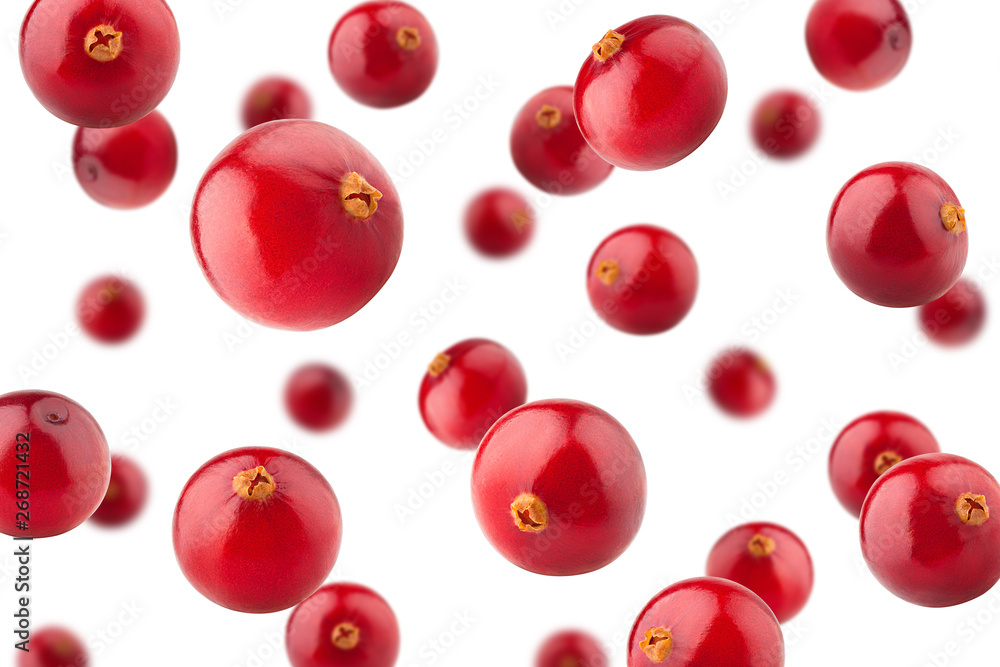 Falling cranberry isolated on white background, selective focus Stock ...