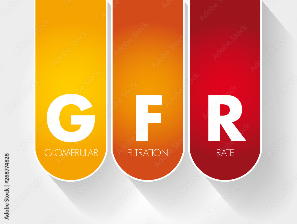GFR - Glomerular Filtration Rate acronym, concept background Stock ...