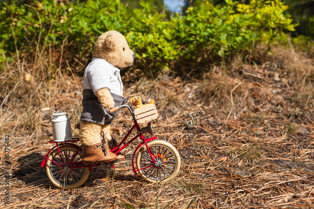 Bike Trip with Teddy Child and Milk Churn / Cute miniature scene: teddy ...