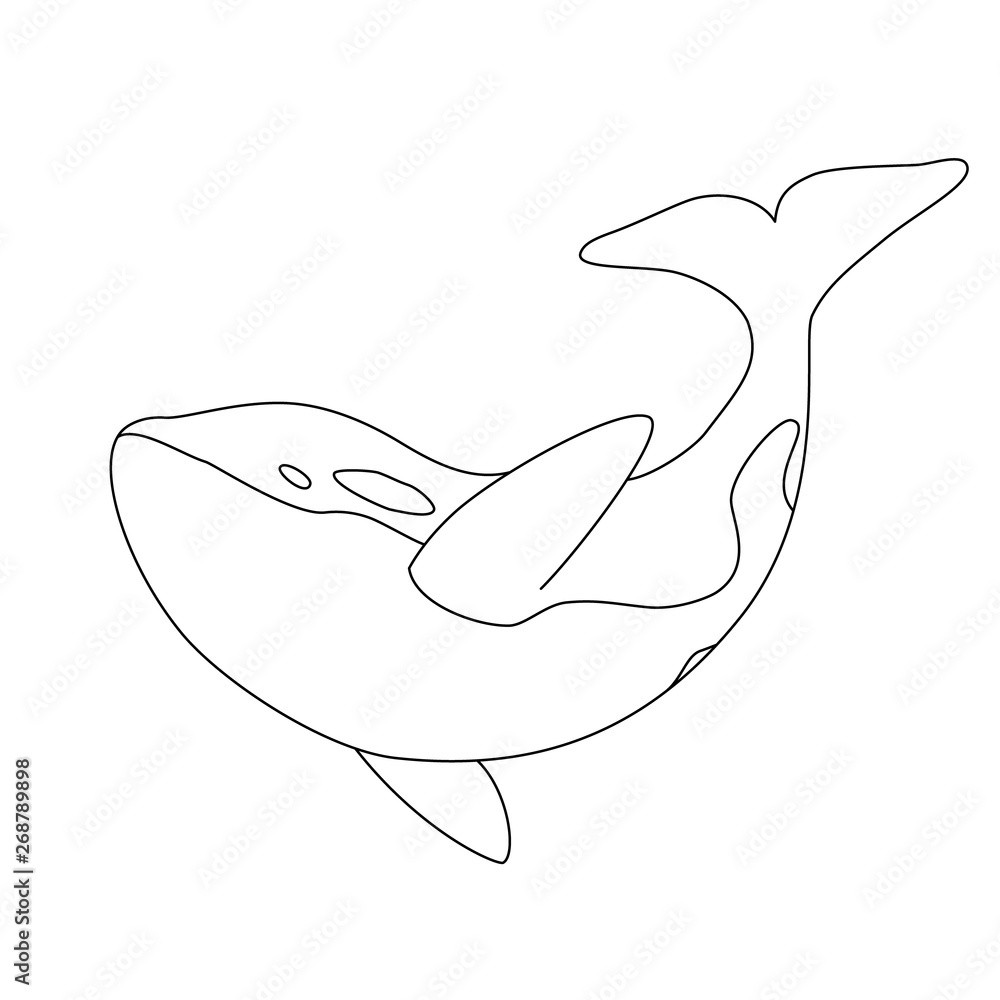 Orca Outline