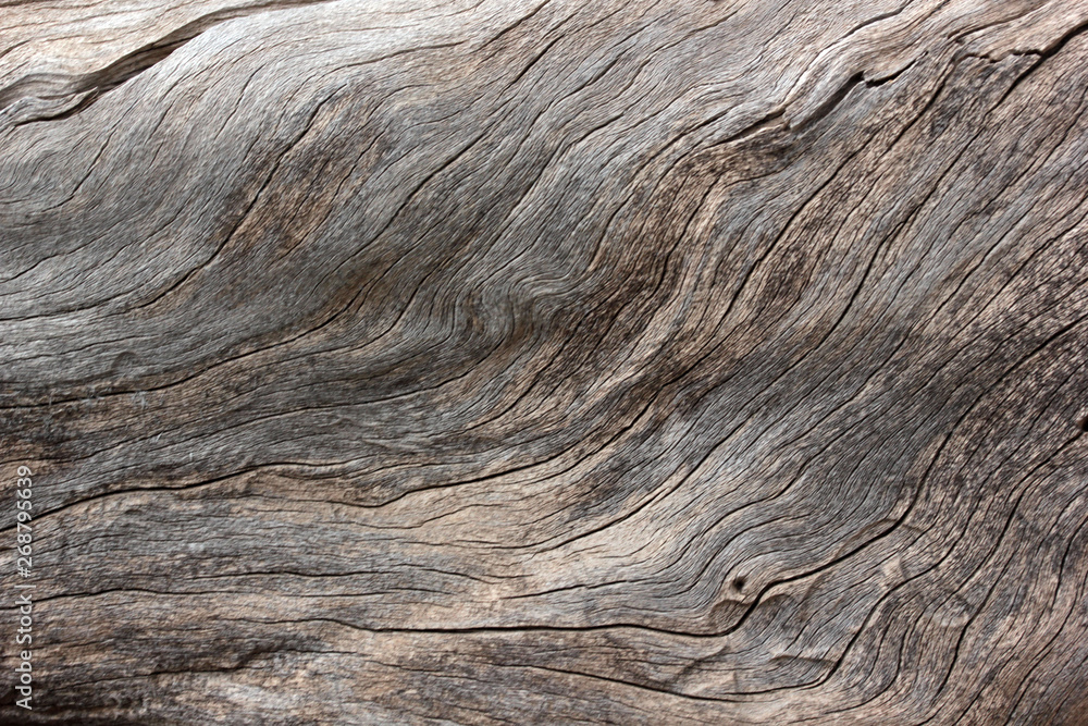 tree trunk texture abstract background Stock Photo | Adobe Stock