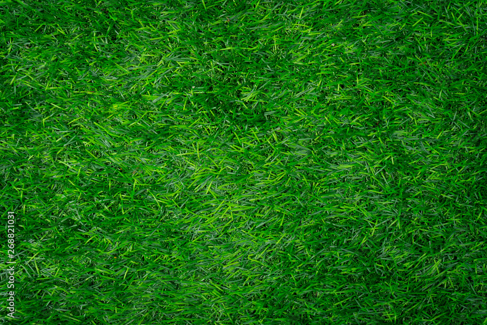 Close up Grass Texture Background. Full Frame Shots Stock Photo | Adobe ...