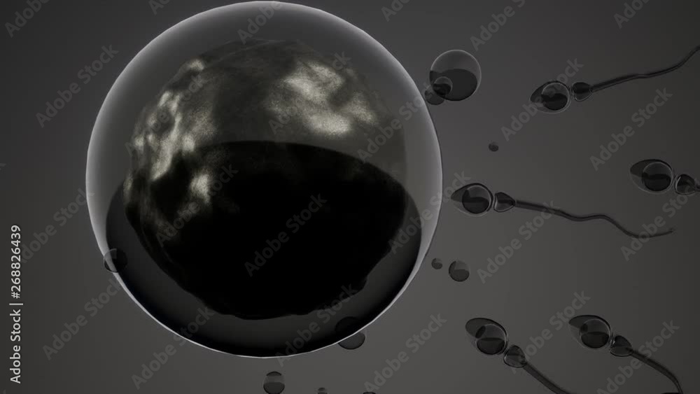 sperm and egg cell. model of microscopic research Stock Video | Adobe Stock