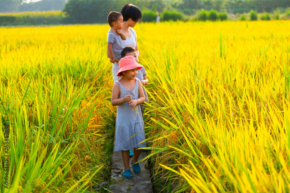 Happy asian family in the rice field Stock Photo | Adobe Stock