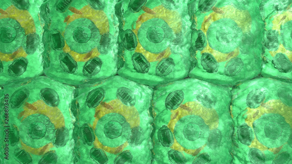 3D illustration of plant cells background. Stock Illustration | Adobe Stock
