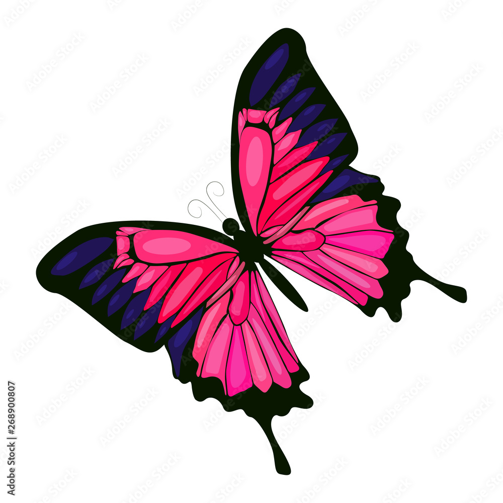 Pink Butterfly Vector