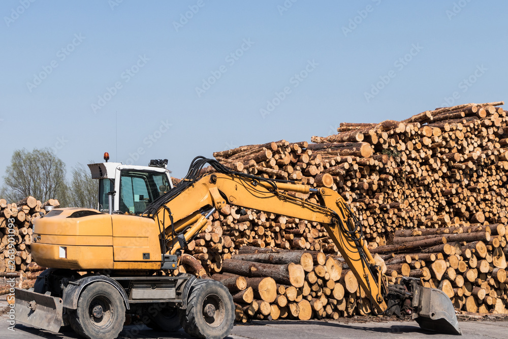 Wooden cut trees are stacked on top of each other. Sawn Tree Background ...