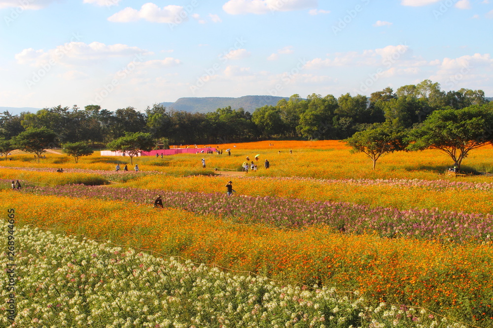 Jim Thompson Farm. Beautiful and eco-friendly farm where you can see ...
