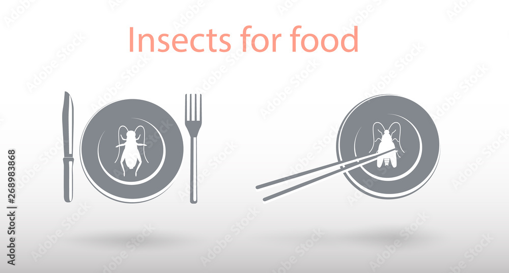 Insects for food. Cricket and cockroach on plate. Icons set. Vector ...