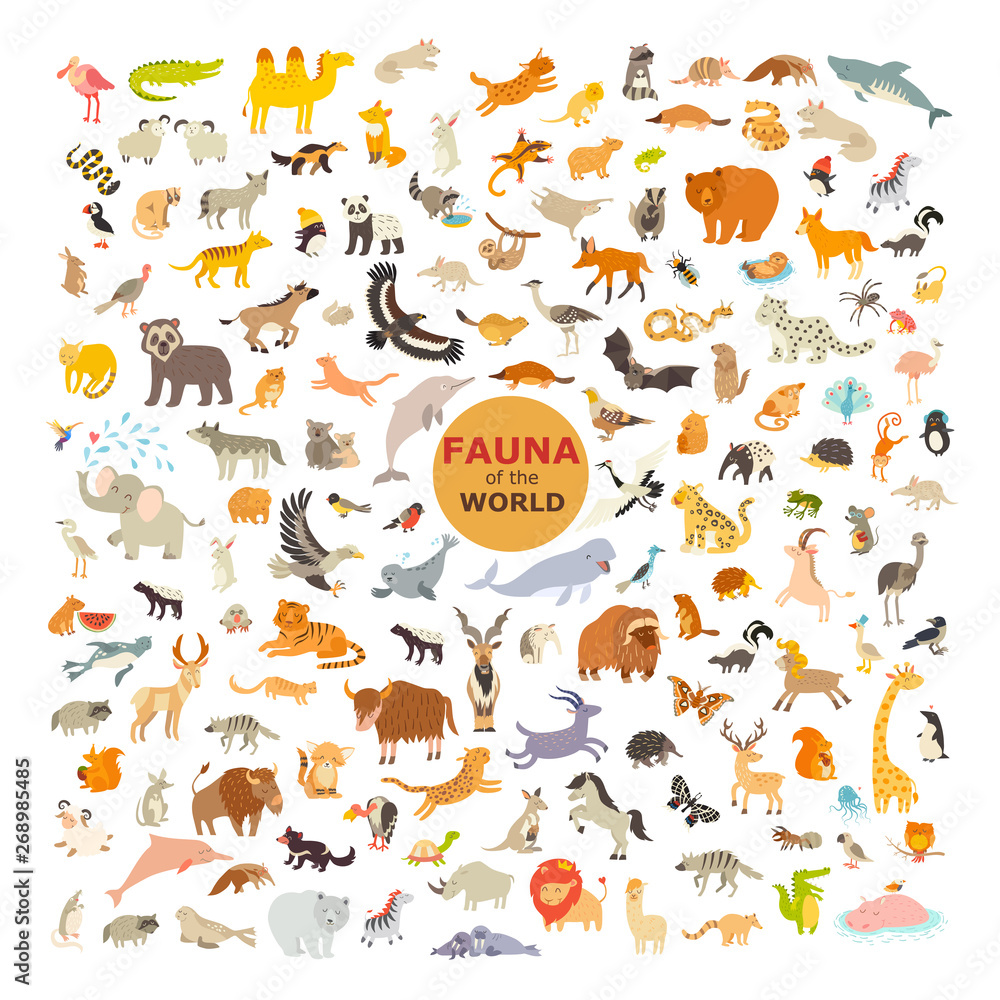 Animal cartoon vector illustration. Fauna icon set. Big collection of ...
