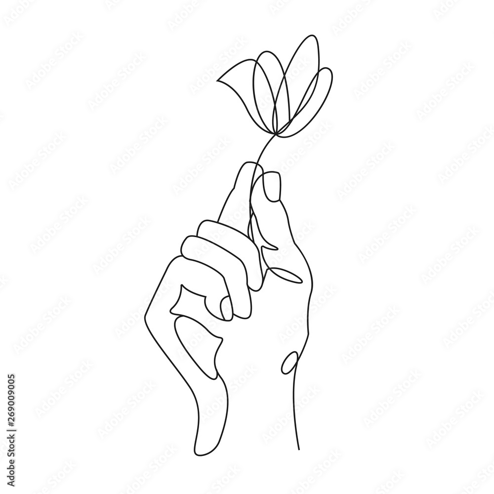 Continuous line drawing. Hand holding flower. Vector illustration Stock ...