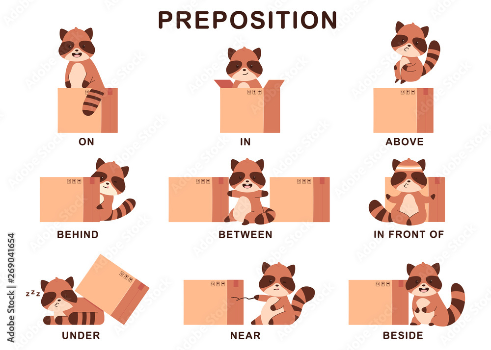 Preposition of place illustration with cute raccoon and box. Vector ...