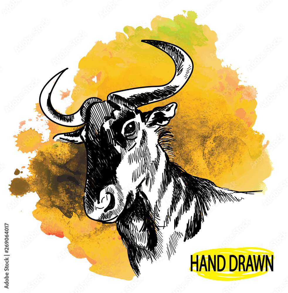 Wildebeest Head Drawing