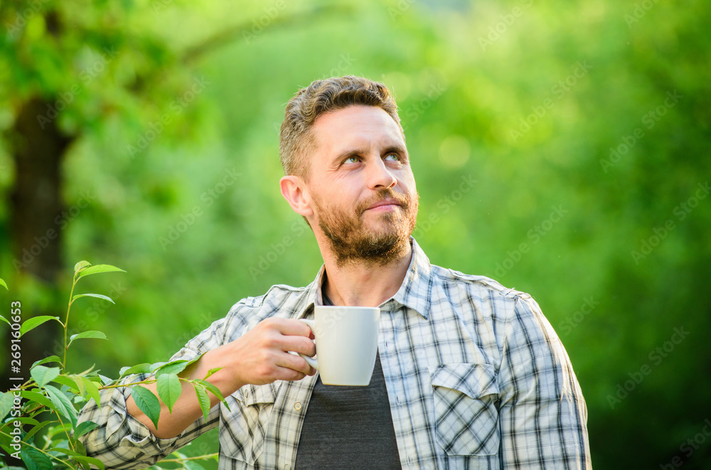 Man Drinking Green Tea Man Drinking Green Tea