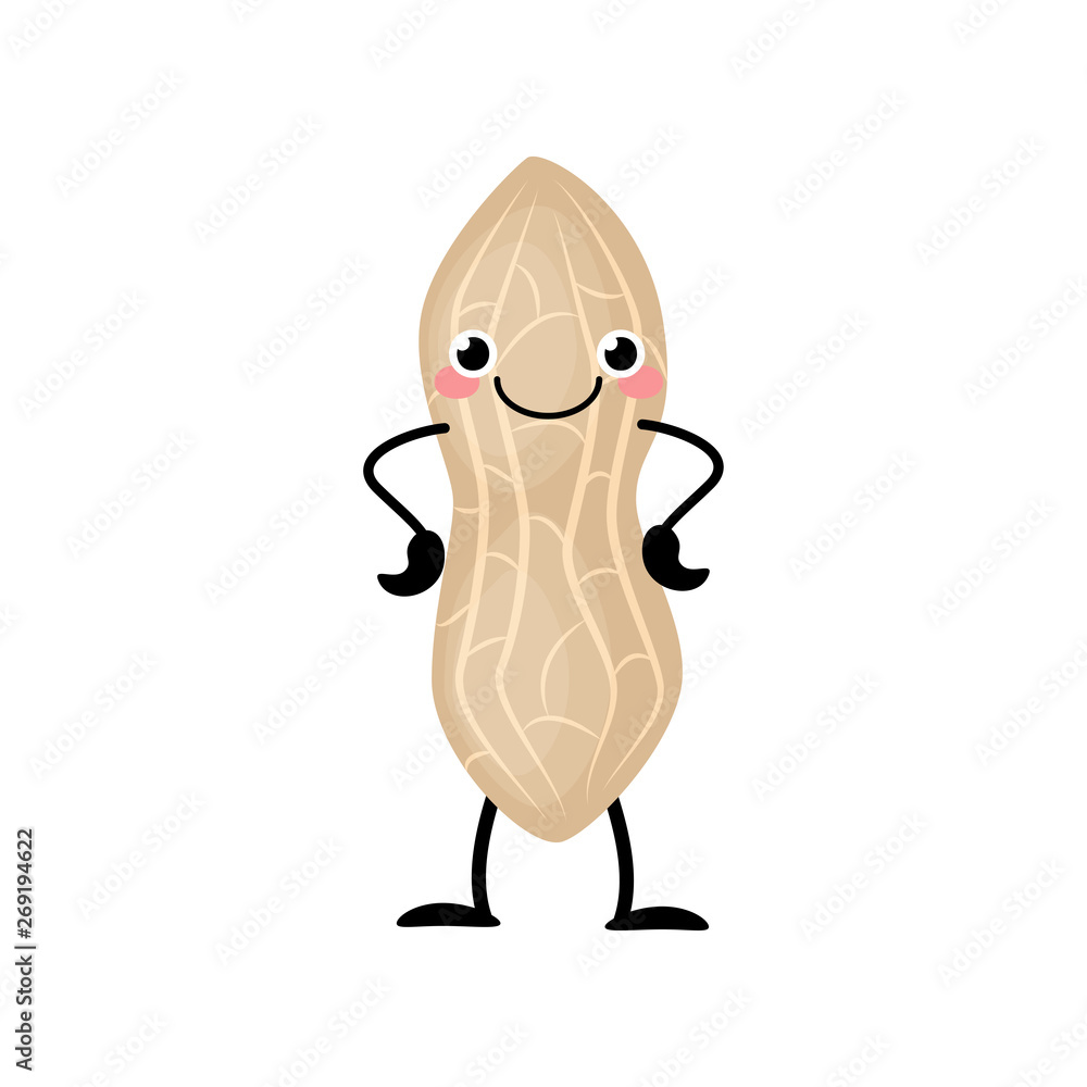 Cute cartoon peanut vector illustration isolated on white background ...