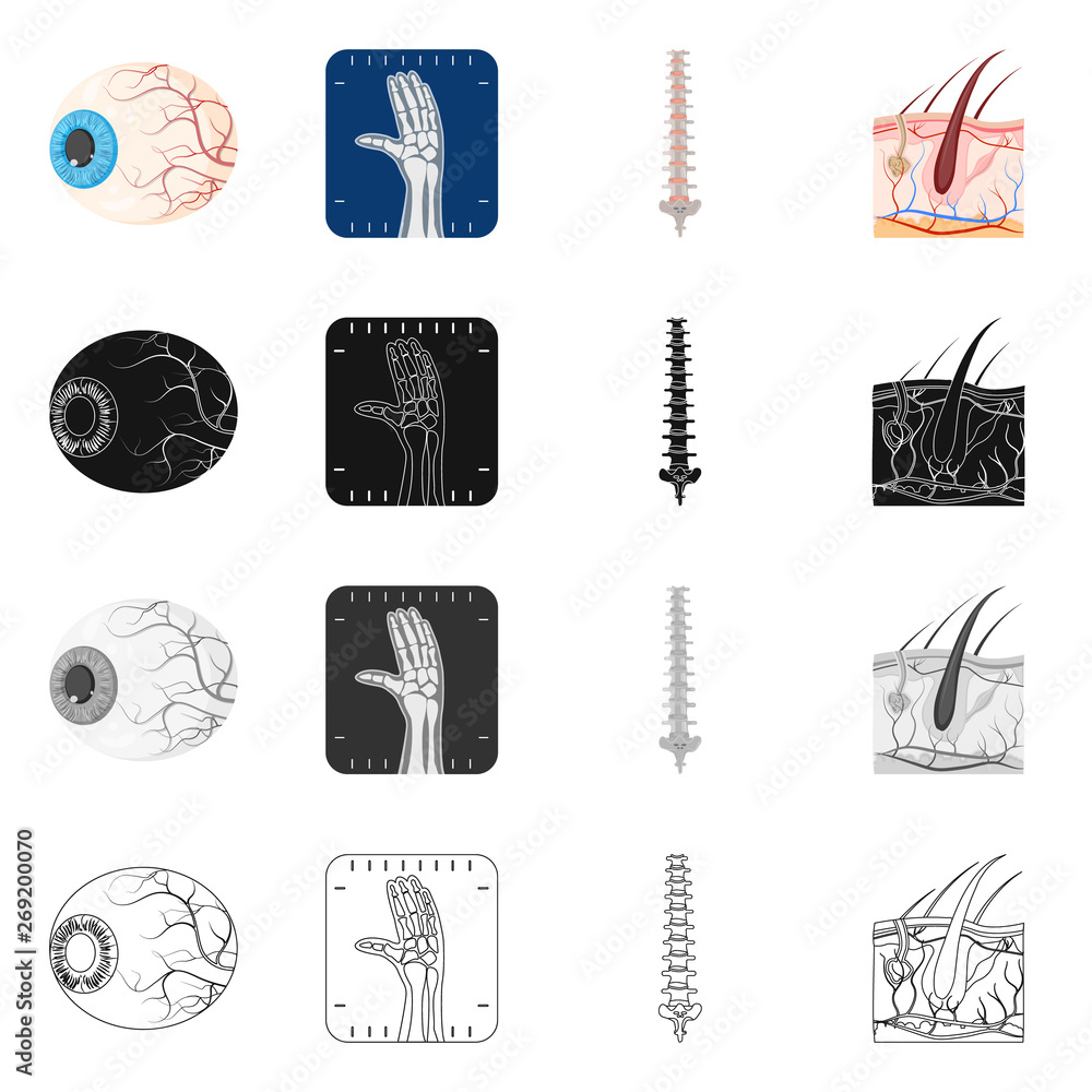 Vector illustration of body and human sign. Collection of body and ...