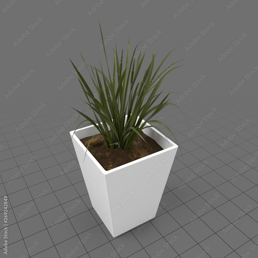 Plant in ceramic planter Stock 3D asset | Adobe Stock