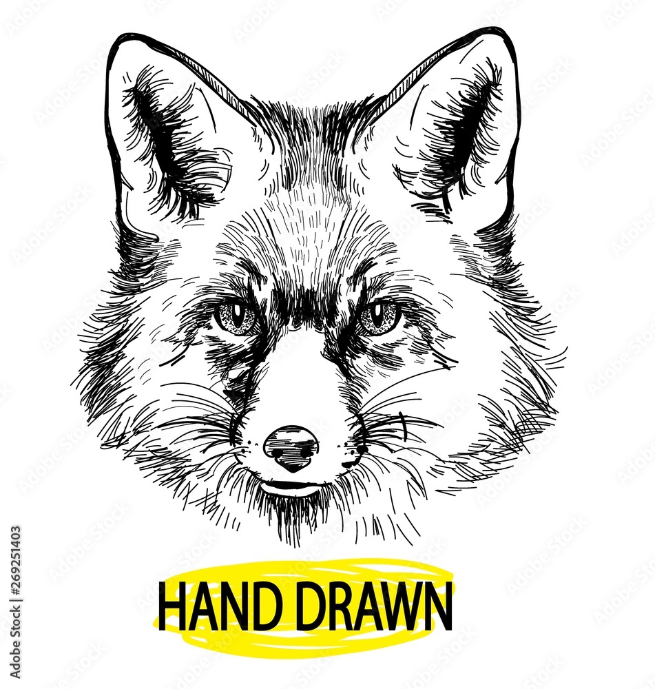 Fox. Professional drawing in vintage style. Cute fluffy fox. Arctic fox ...