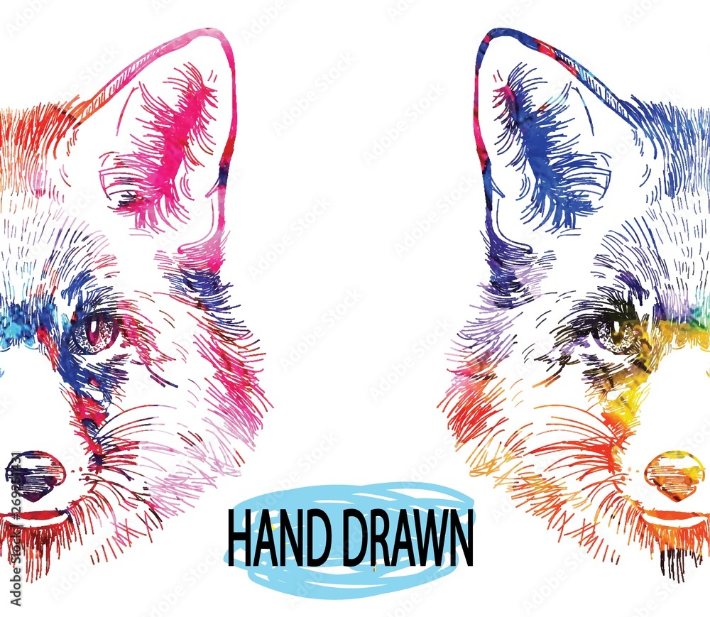 Fox. Professional drawing in vintage style. Cute fluffy fox. Arctic fox ...