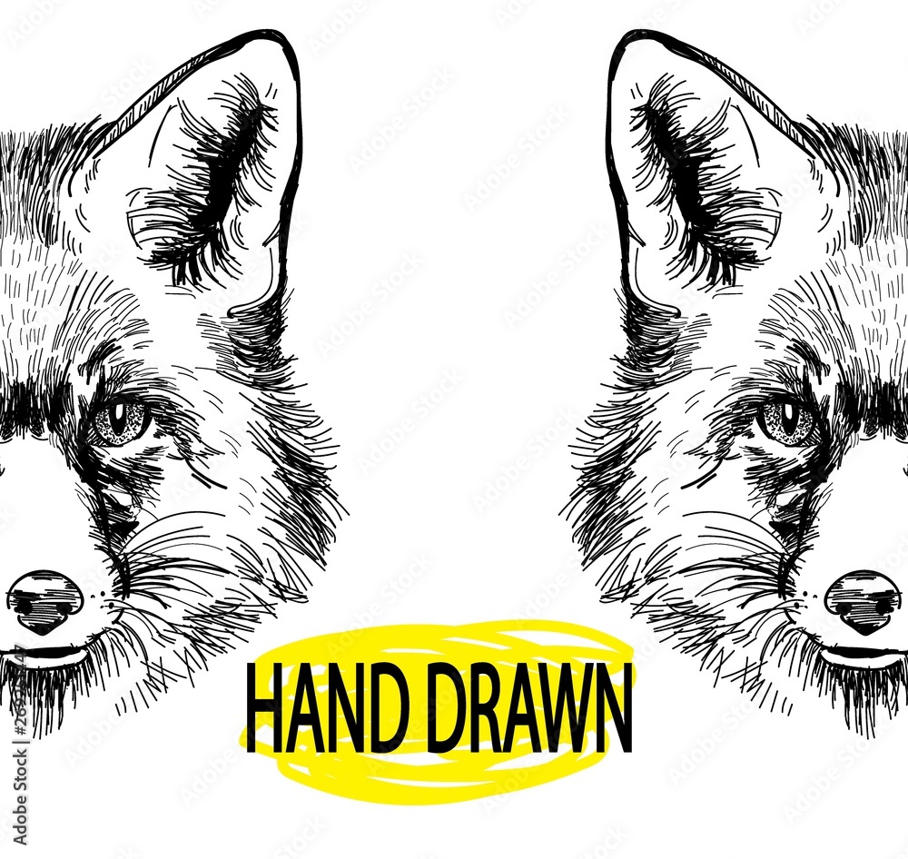Fox. Professional drawing in vintage style. Cute fluffy fox. Arctic fox ...