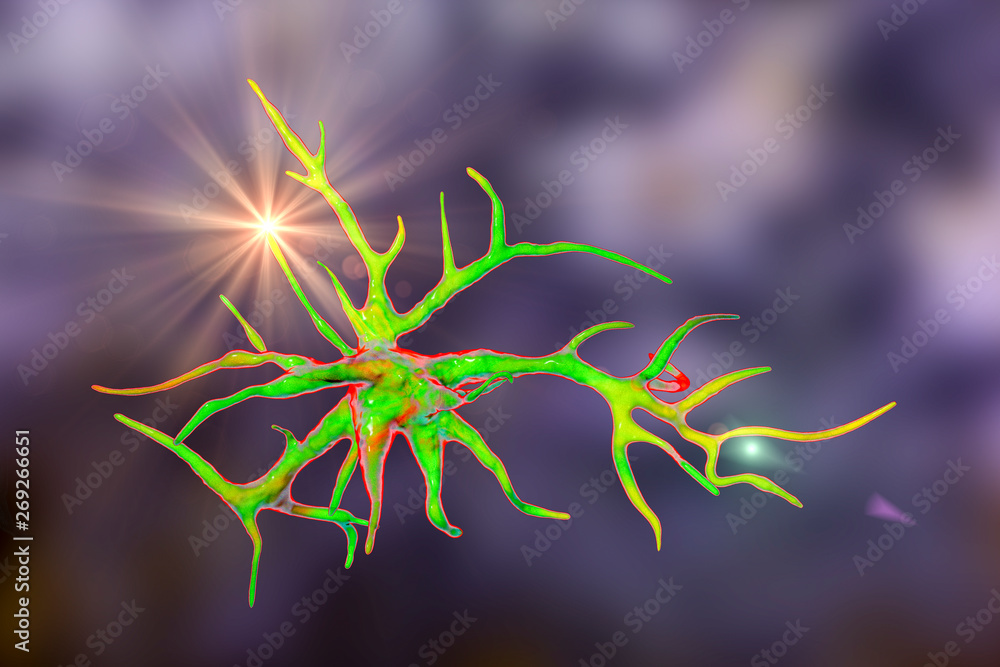 Astrocyte, a brain glial cell, 3D illustration. Astrocytes, also known ...
