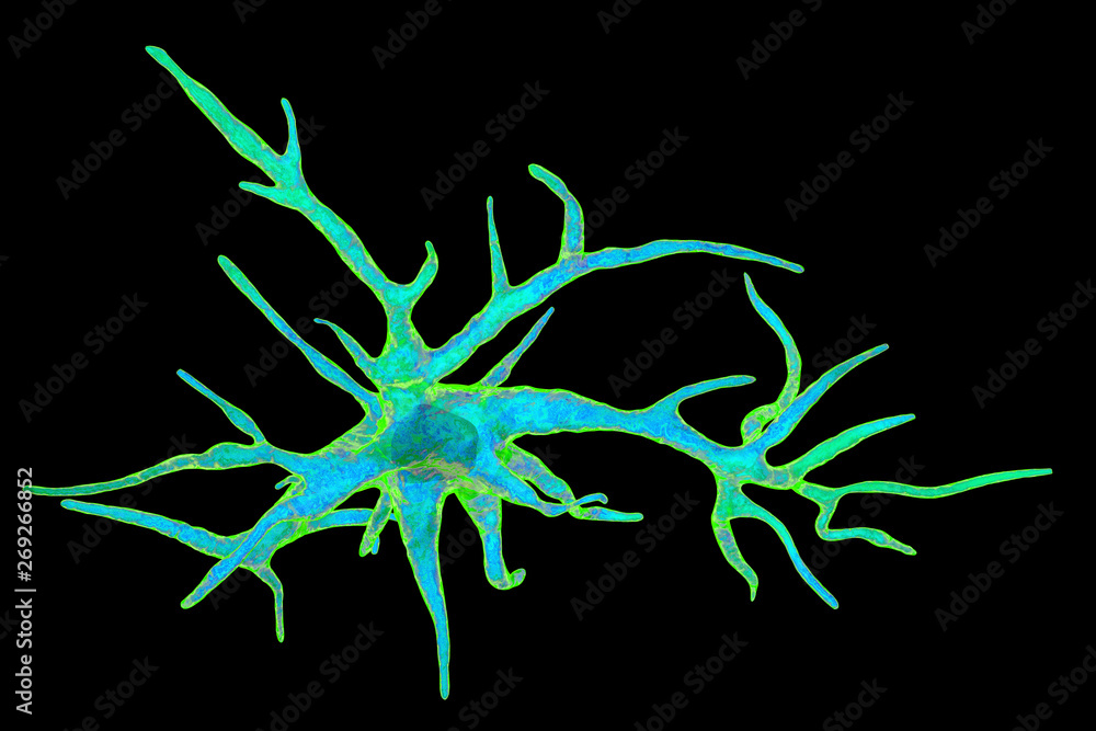 ภาพประกอบสต็อก Astrocyte, a brain glial cell, 3D illustration ...