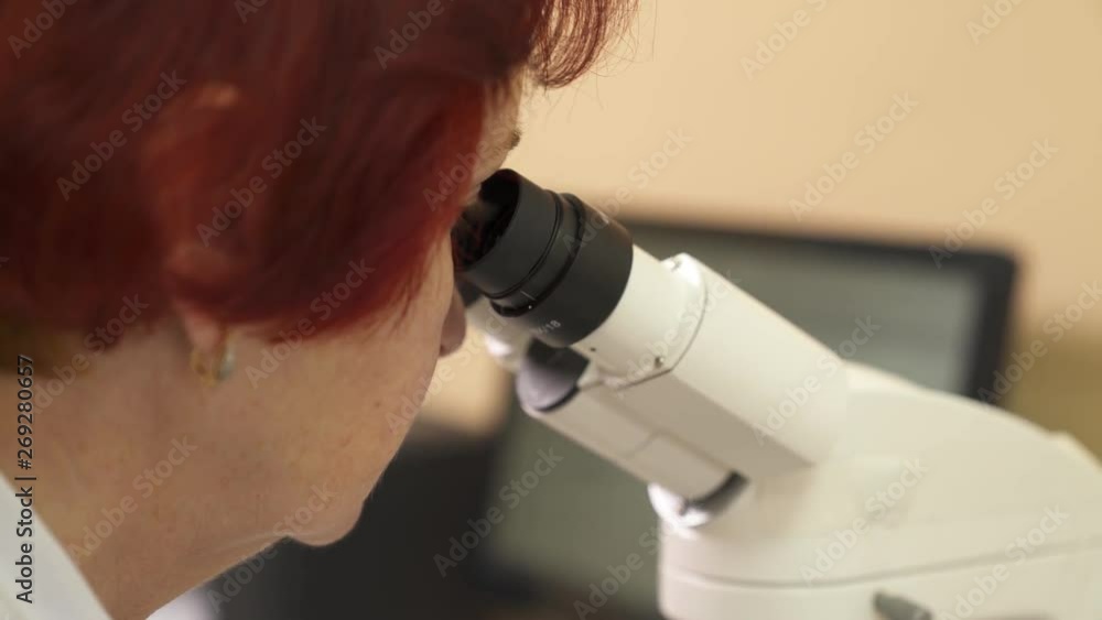 Vidéo Stock A close-up of a research scientist looking through a ...