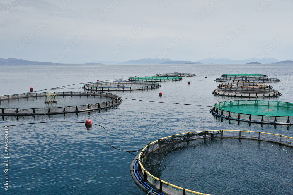 Fish farming nets and cage in the sea. Circular fish cage foto de Stock ...