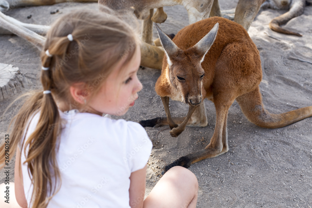 cute little girl and a kangaroo at an australian zoo in israel Stock ...