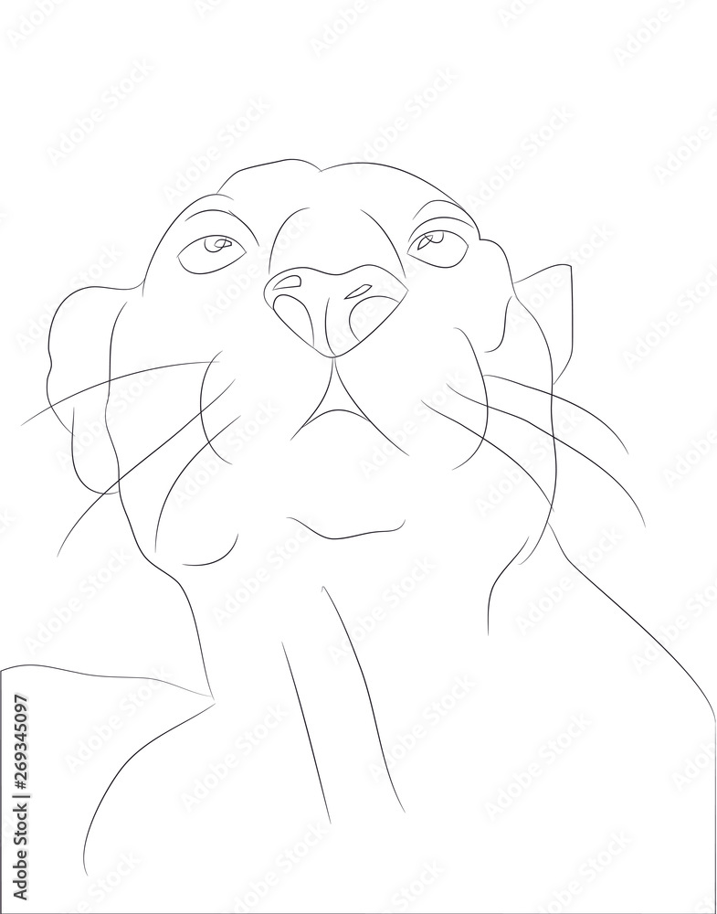 Black Panther Drawing Face