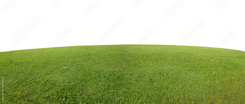 Green grass field isolated on white background . Stock Photo | Adobe Stock