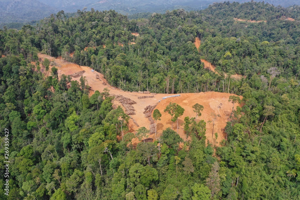 Deforestation. Logging of rain forest in Malaysia Stock Photo | Adobe Stock