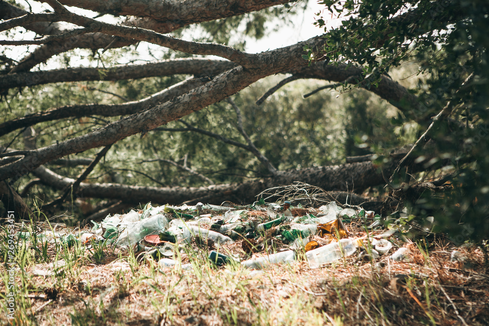 Pollution of the environment. Garbage pile in the forest. Waste or ...