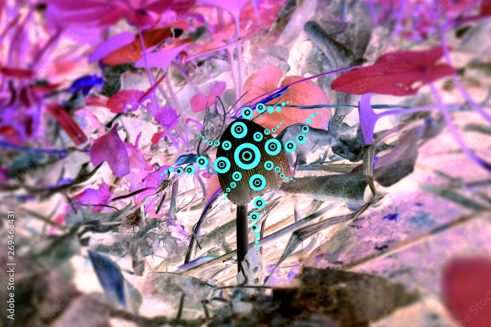 Neon effect mushroom hallucinogen pattern of the spirit of the forest ...