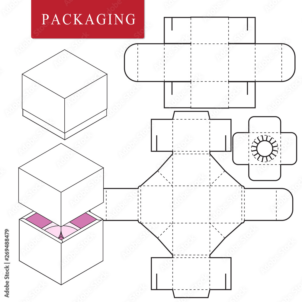 Packaging Design.Vector Illustration of Box.Package Template. Isolated ...